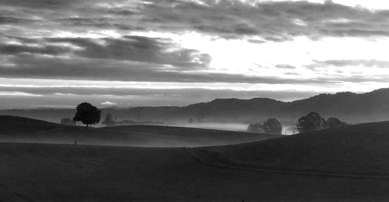 Notizen zur Gestaltung von Fotos - rothen ecotronics Bern
